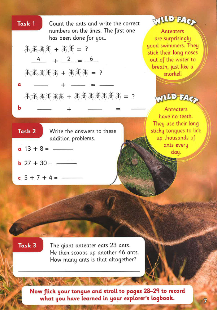 Maths - Maths Age 6-7 (Letts Wild About) – BookXcess