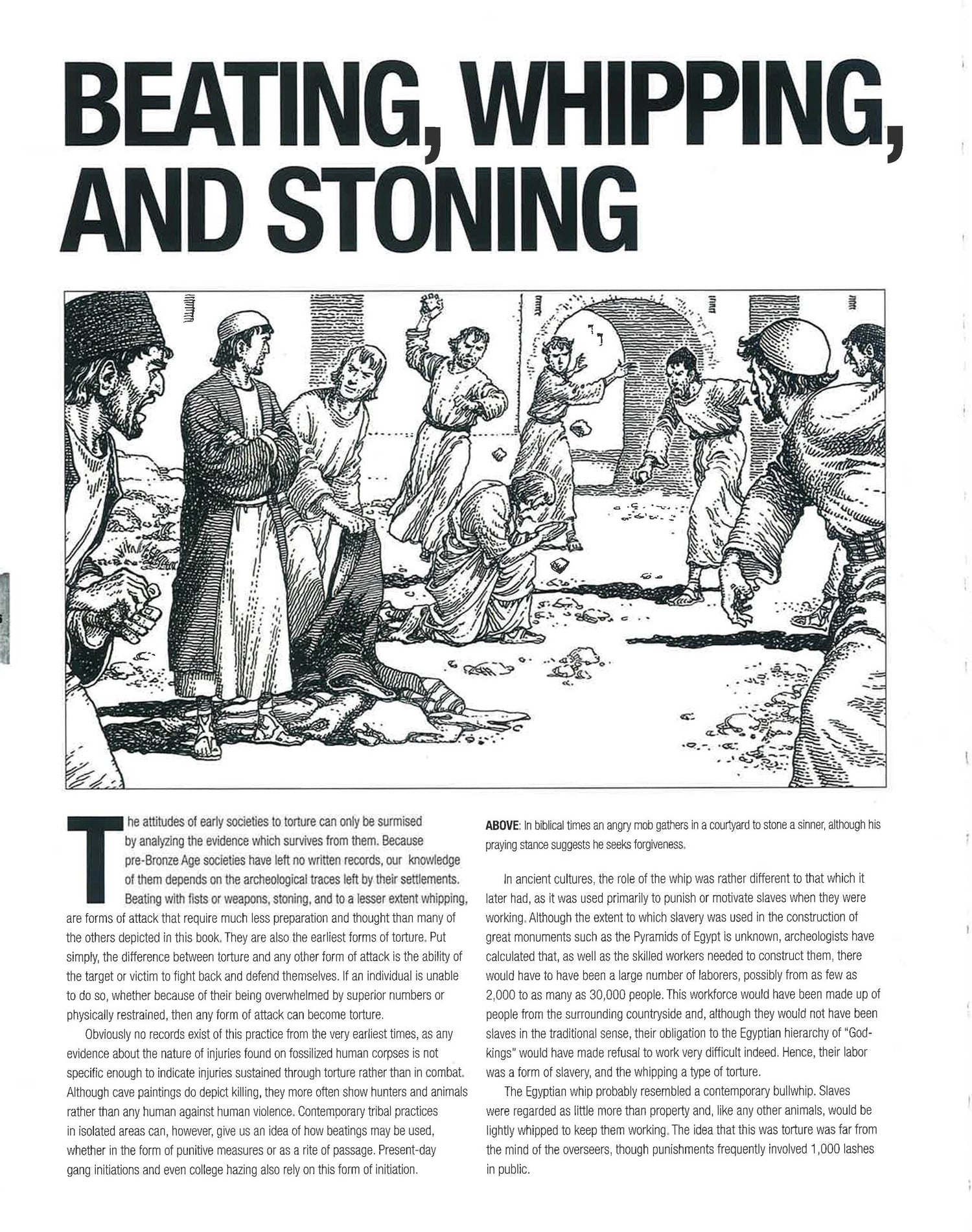 The Illustrated History Of Torture – BookXcess