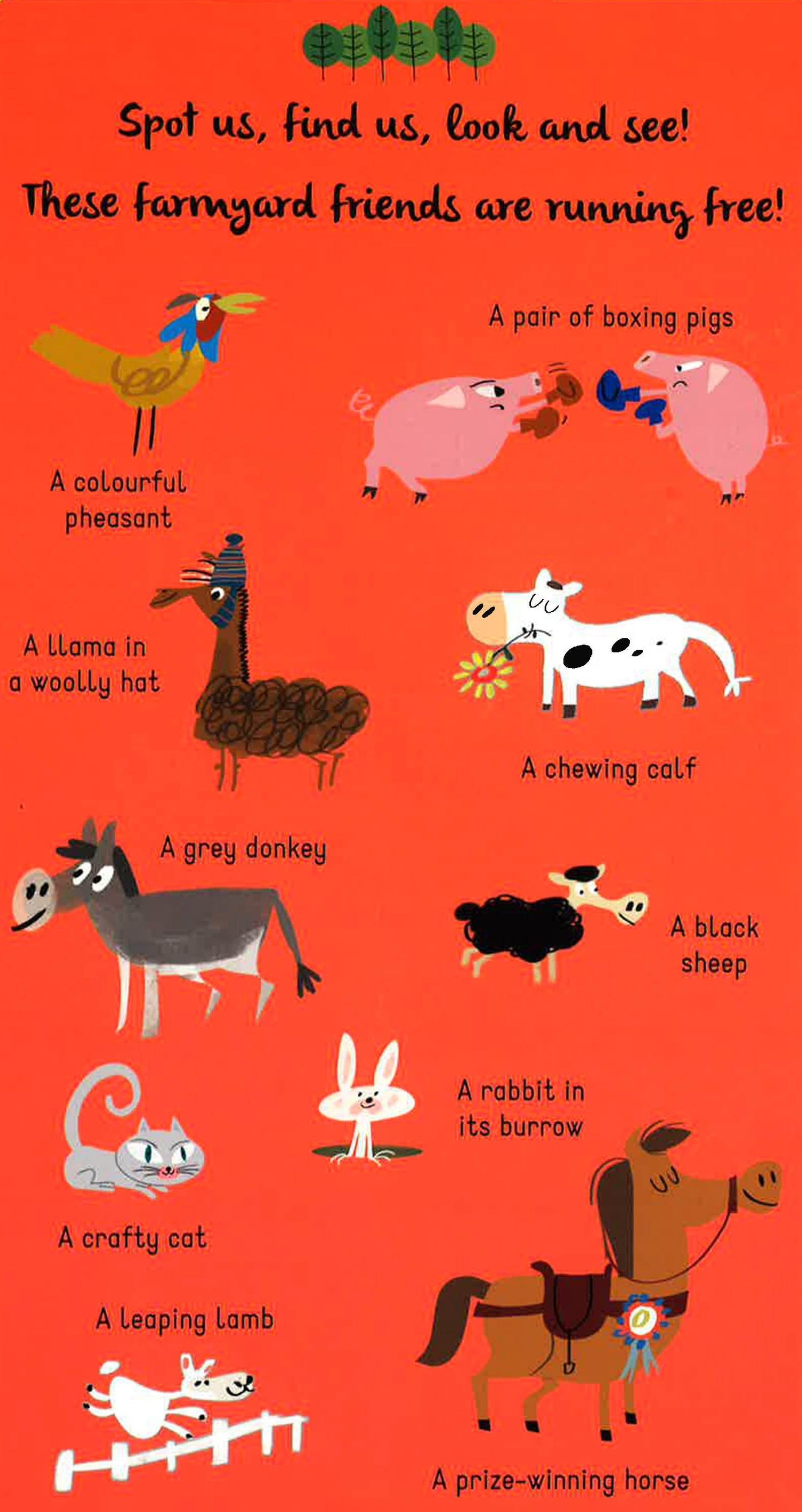 Search And Find Animals – BookXcess