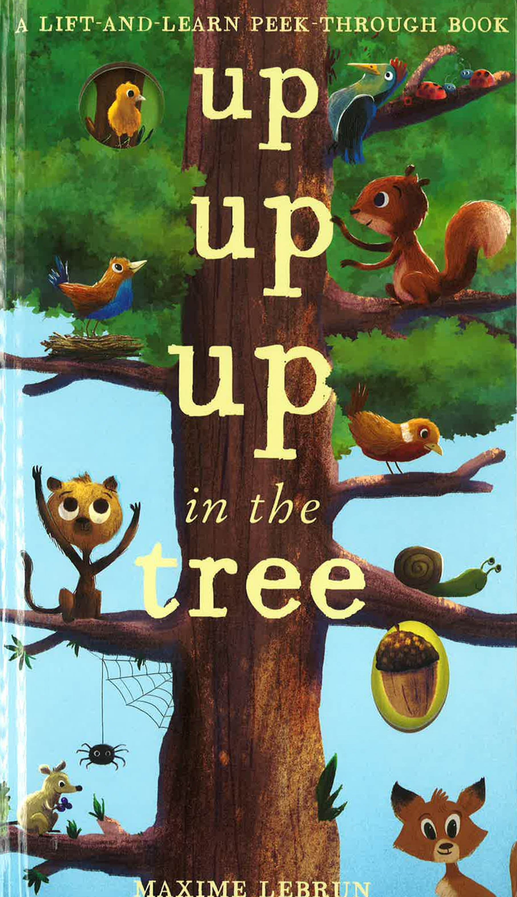 A Lift-And-Learn Peek-Through Book: Up Up Up In The Tree – BookXcess