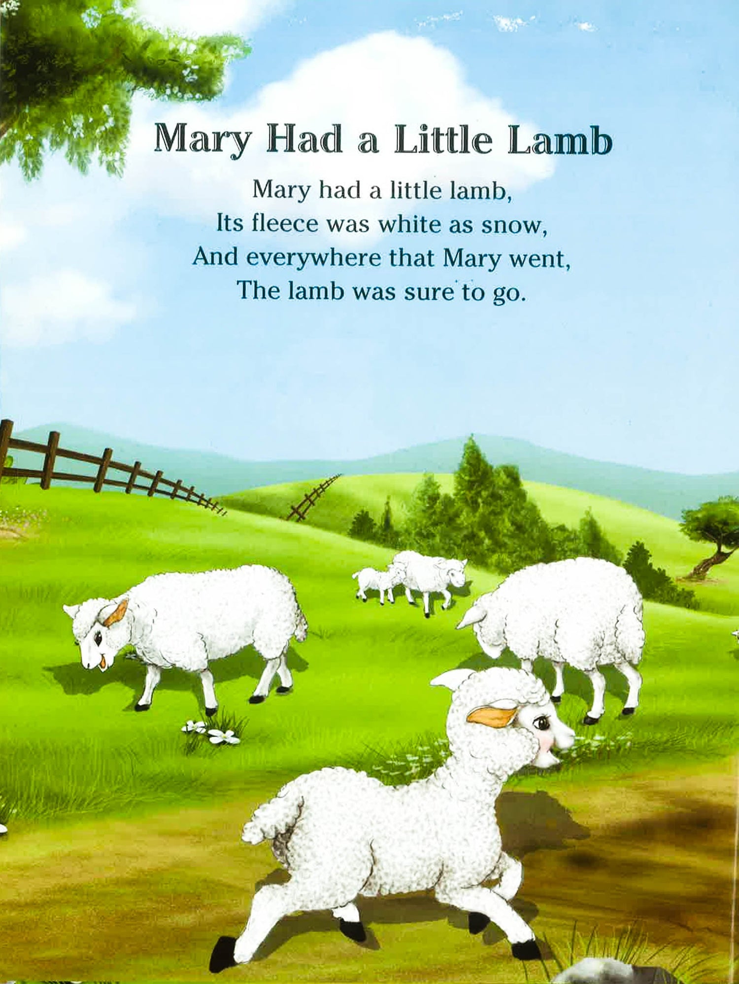 Nursery Rhymes: Mary Had A Little Lamb – BookXcess