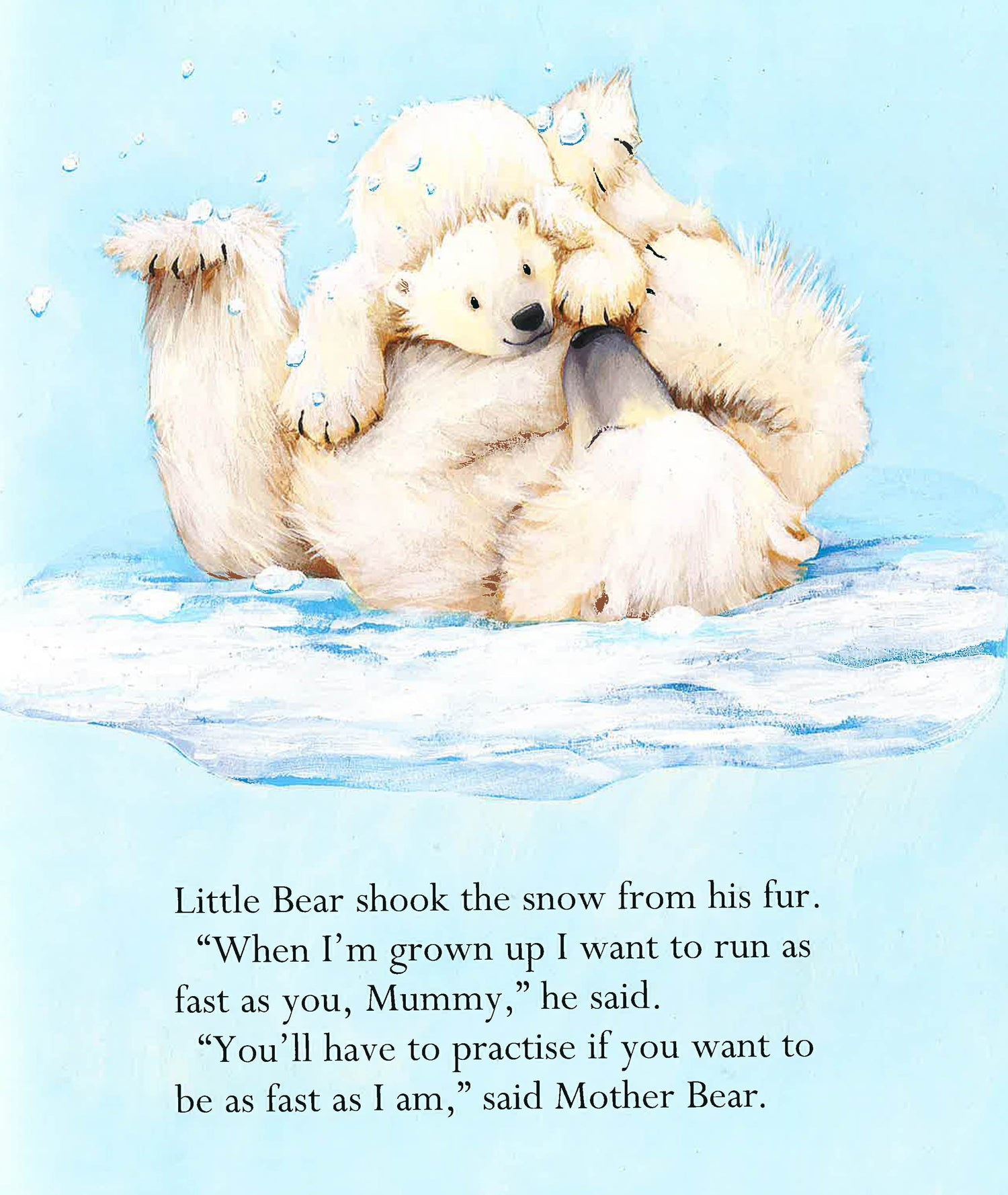 Big Bear Little Bear – BookXcess