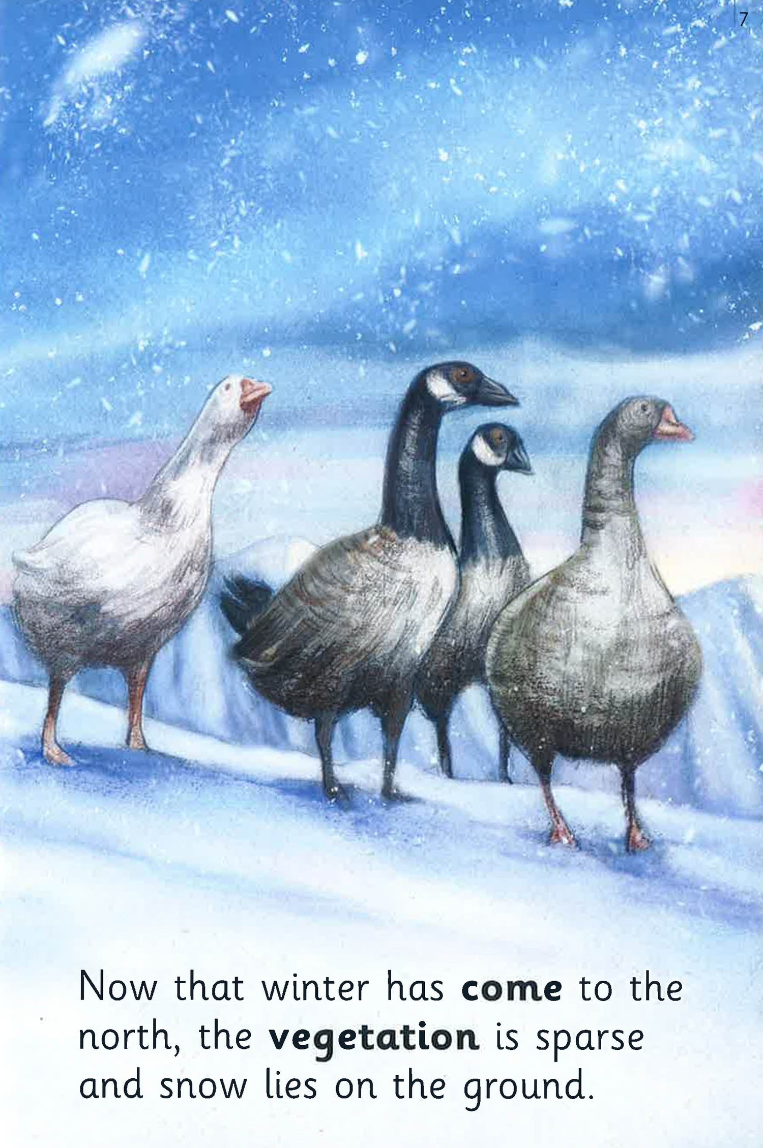 I Love Reading Phonics Level 5: Goose Flight – BookXcess