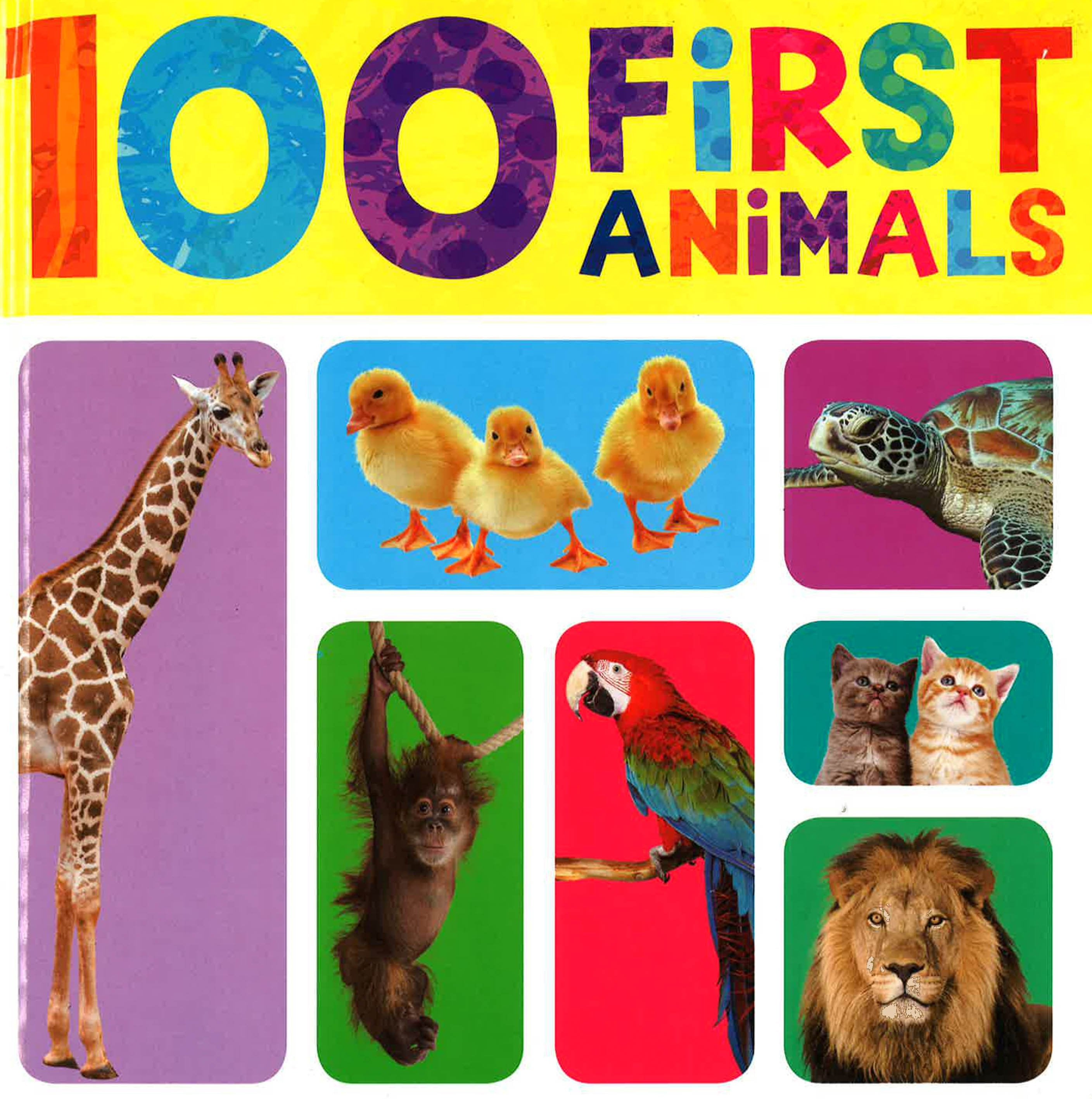 100 First Animals – BookXcess
