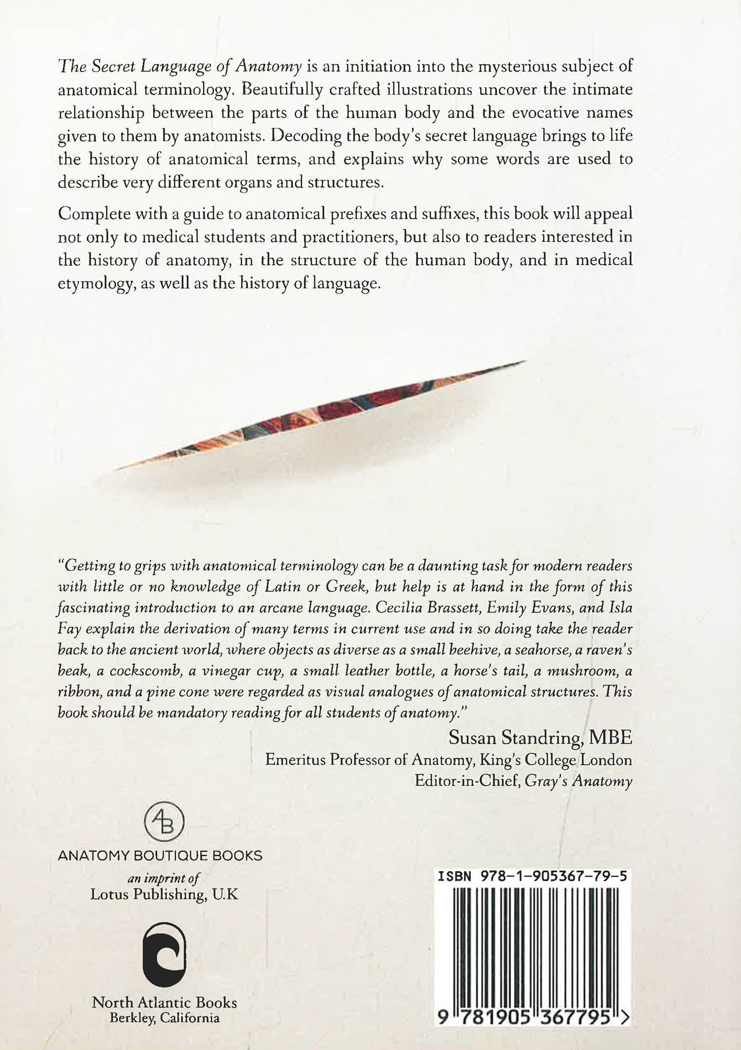 The Secret Language Of Anatomy – BookXcess