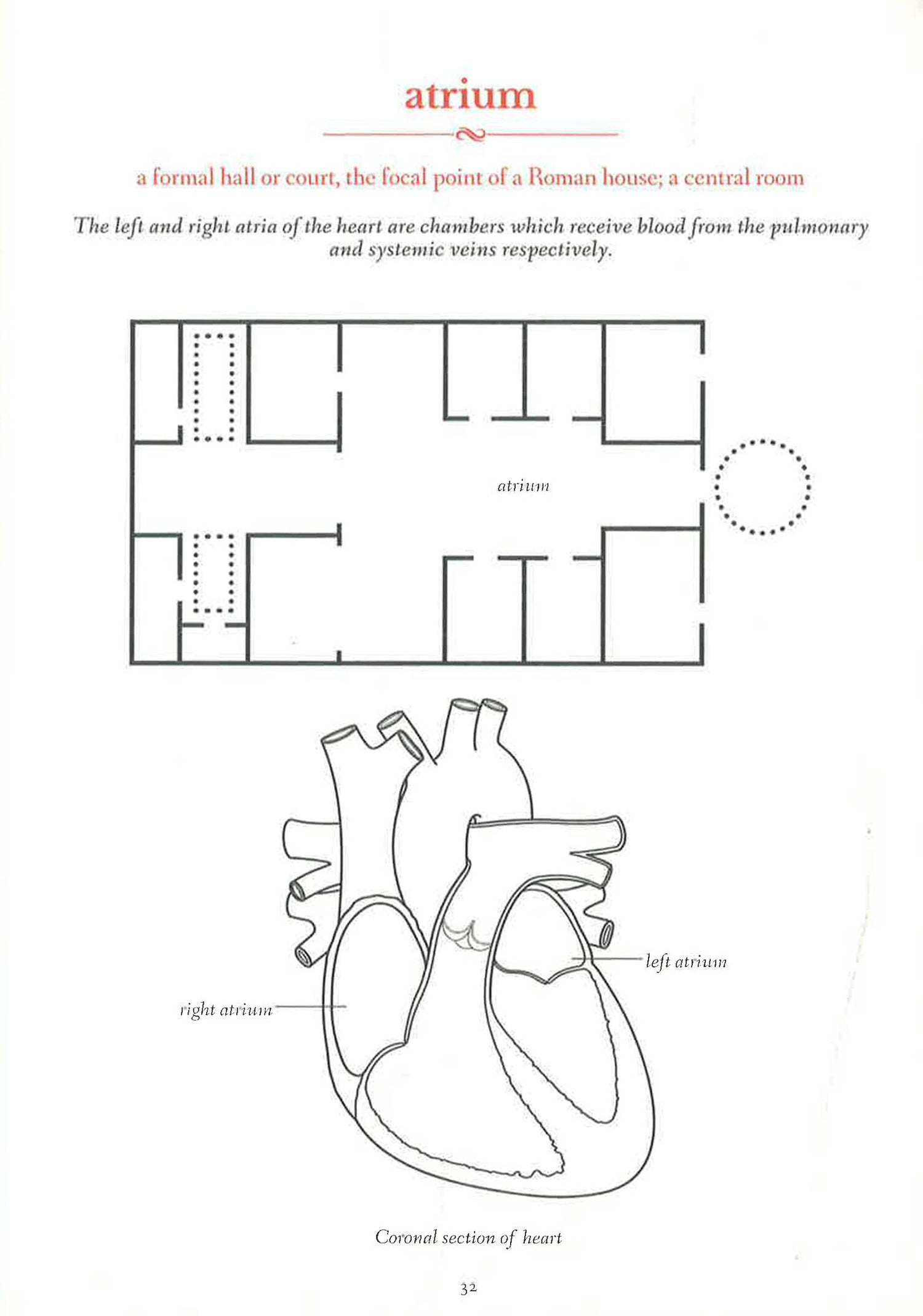 The Secret Language Of Anatomy – BookXcess
