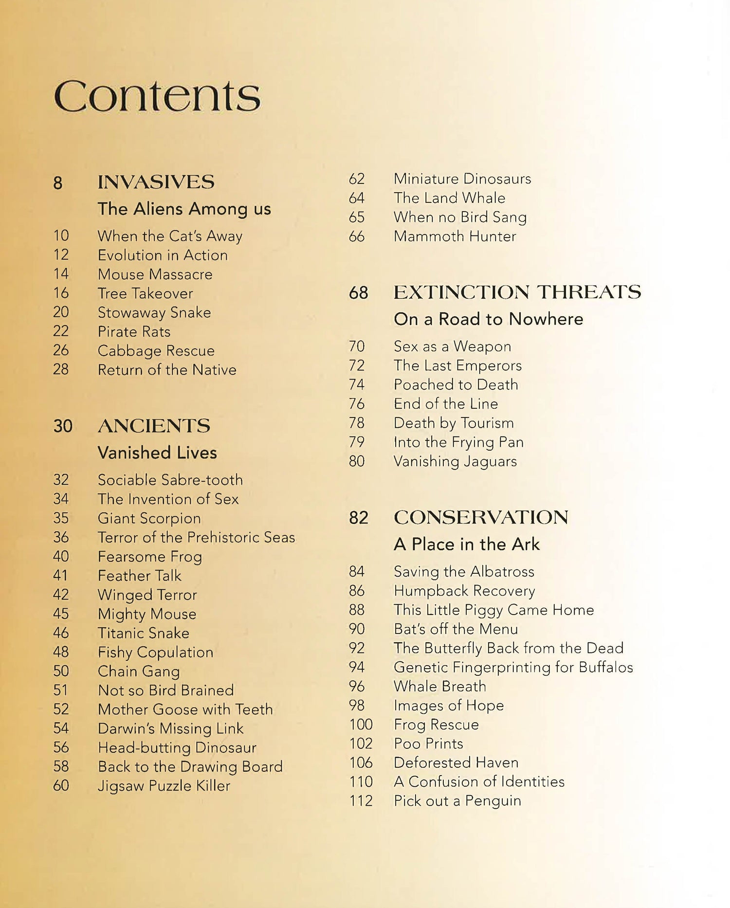 Why The Cheetah Cheats – BookXcess