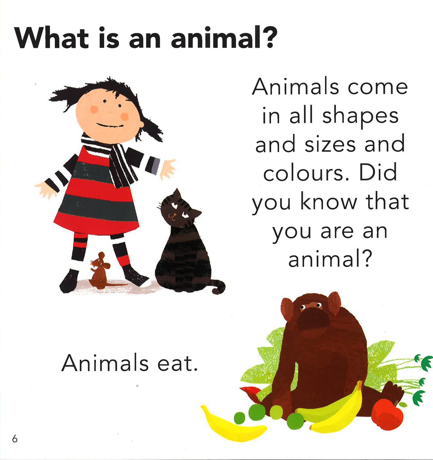 Let's Talk About Animals – BookXcess