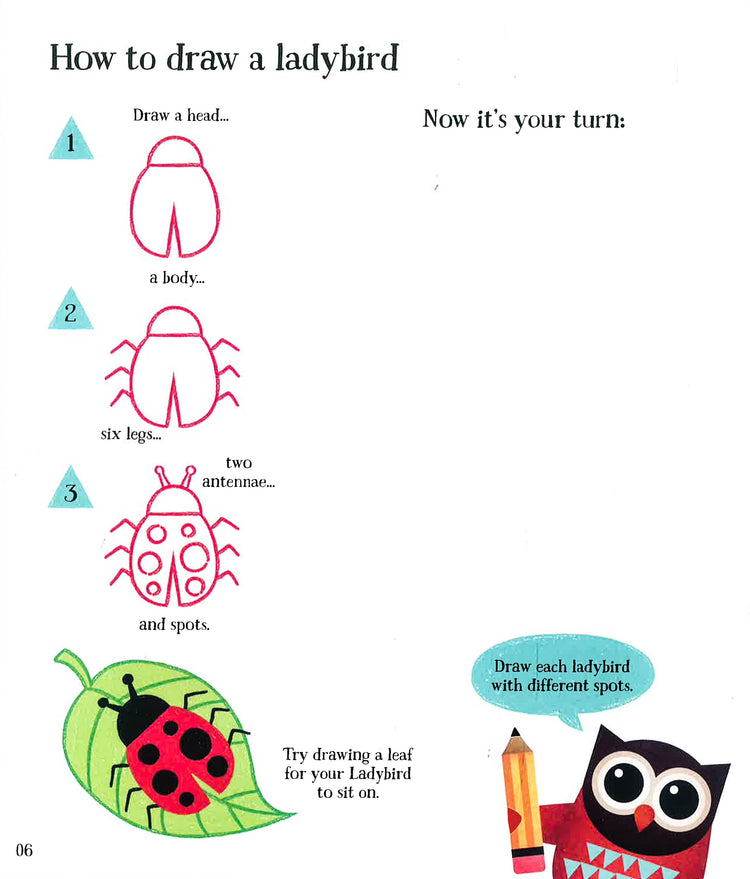 Learn To Draw With Hoot – BookXcess