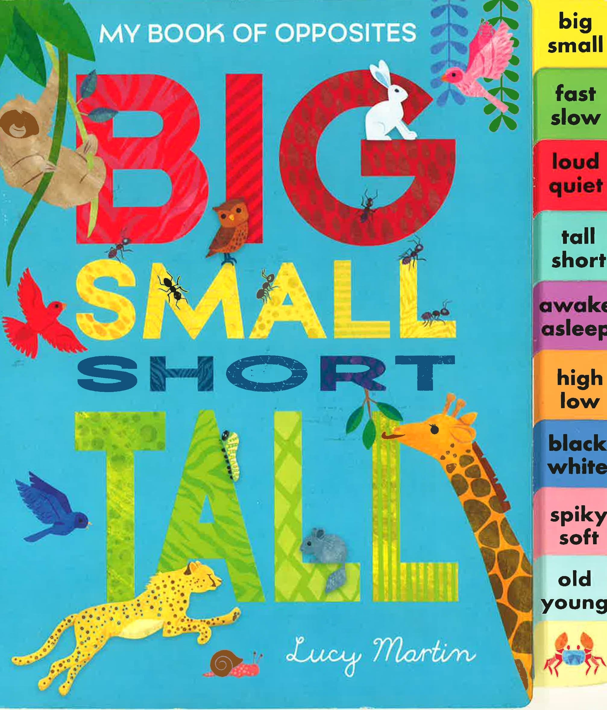 My Book Of Opposites : Big Small Short Tall – BookXcess