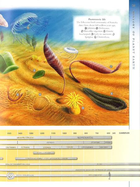 The Ultimate Visual Guide: The Story Of Earth – BookXcess