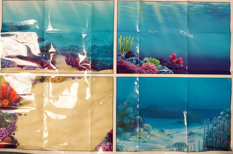 Disney Pixar Finding Dory: My Busy Books – BookXcess