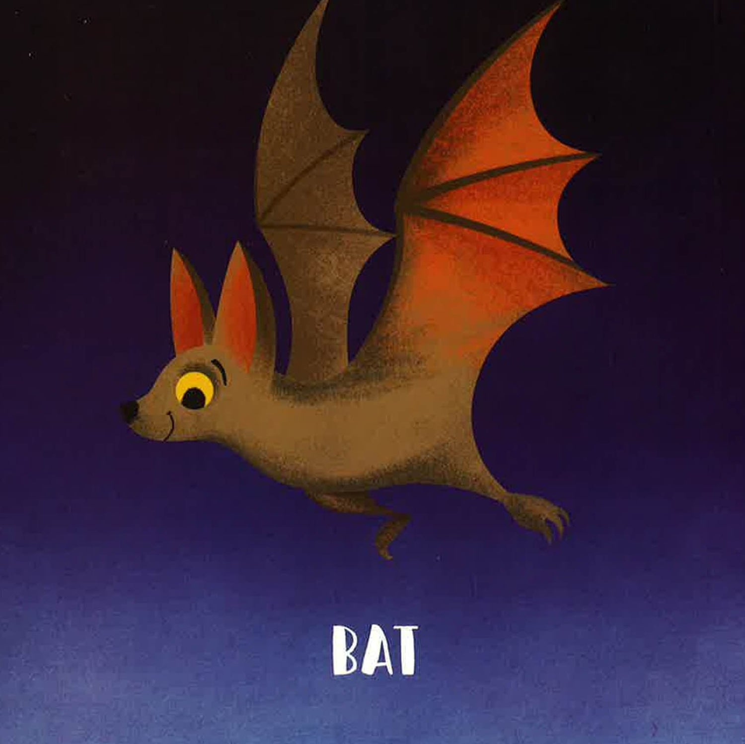 Board Books Anna Lang - Happy English - Hiding Animals – BookXcess