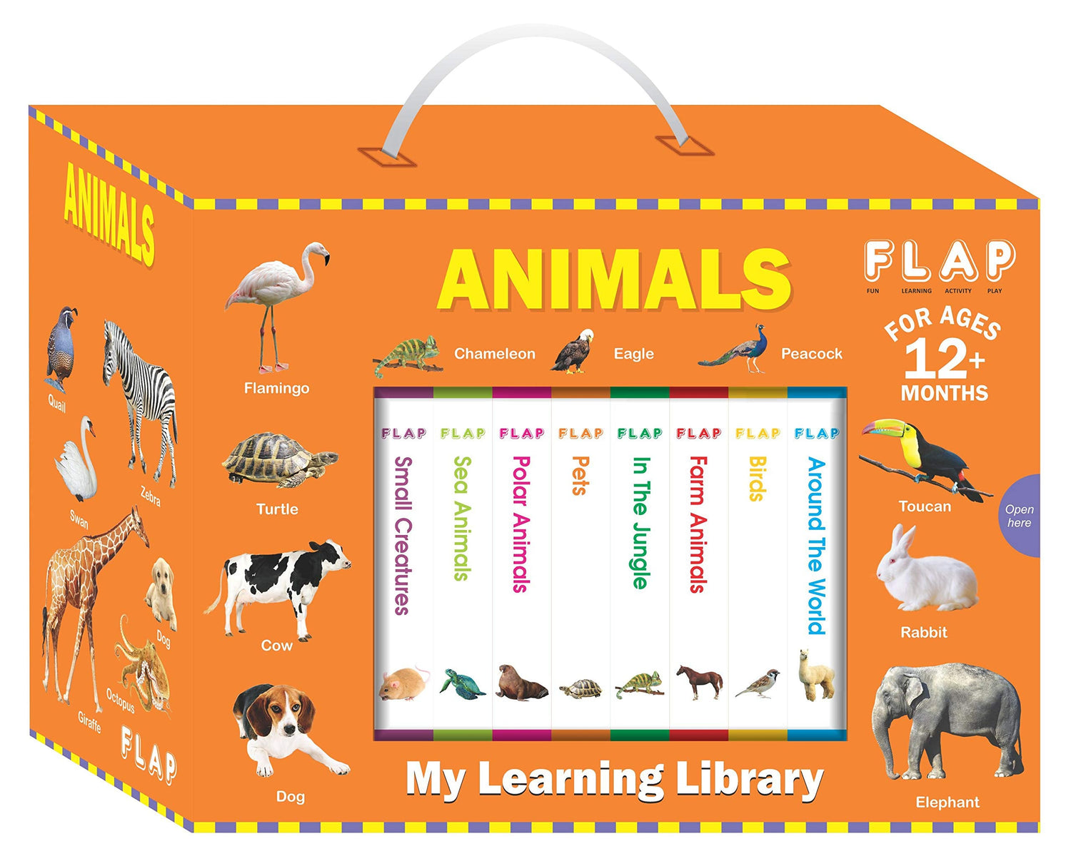 Flap - My Learning Library: Animals – BookXcess