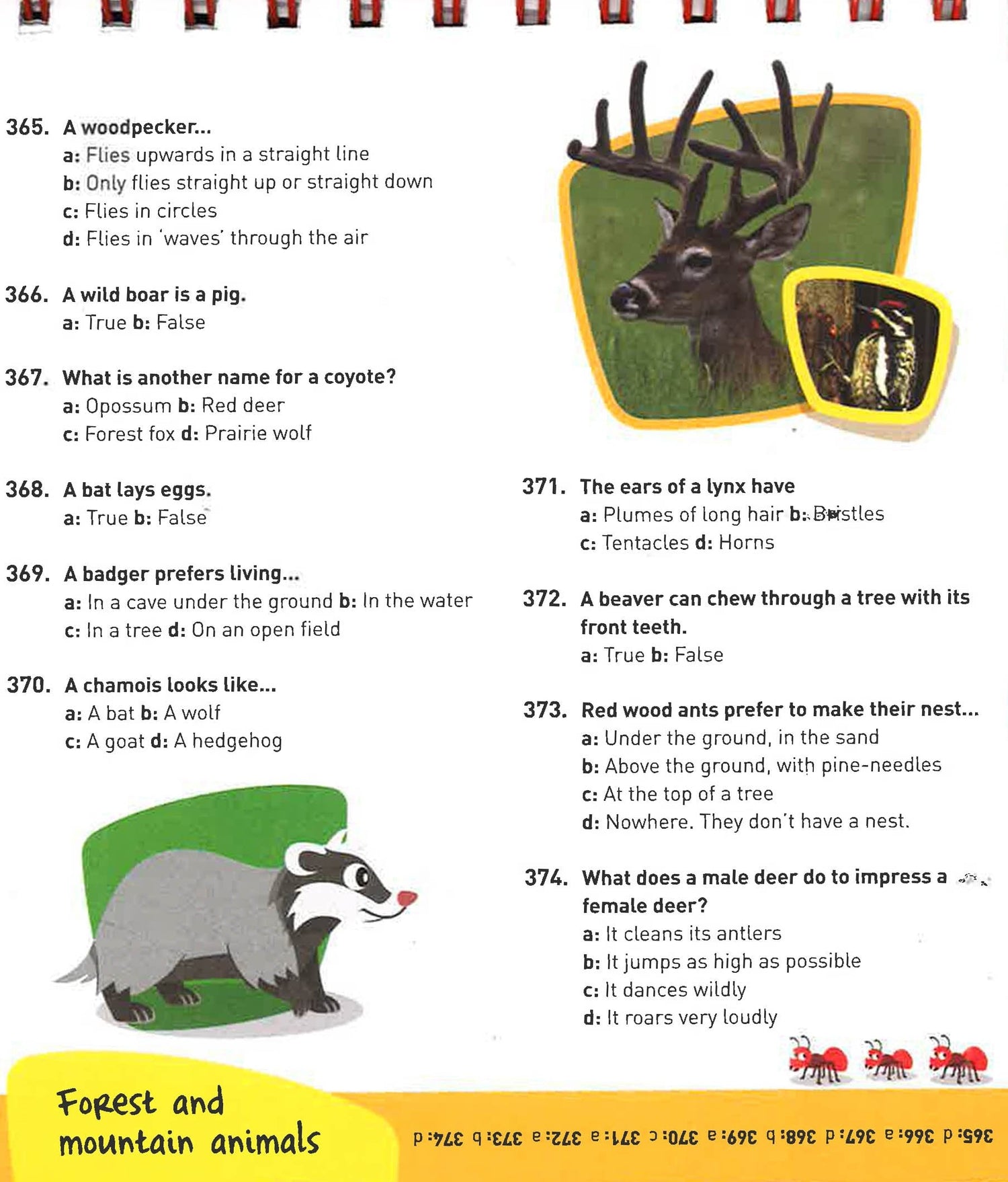 One Minute Quiz Animals – BookXcess