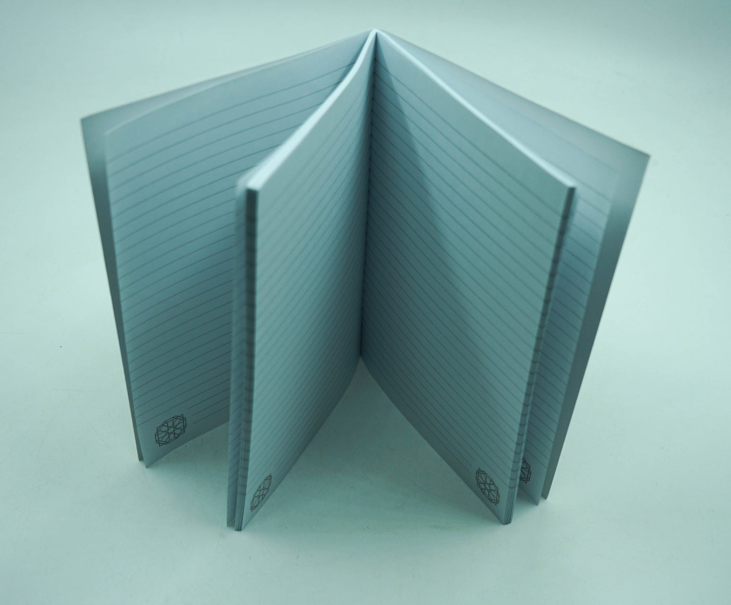 In Your Light Essential Notebook – BookXcess