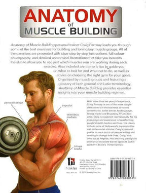 Anatomy Of Muscle Building – BookXcess