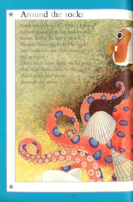 Animal Kingdom Sticker Activity Book: Jungles And Oceans – BookXcess