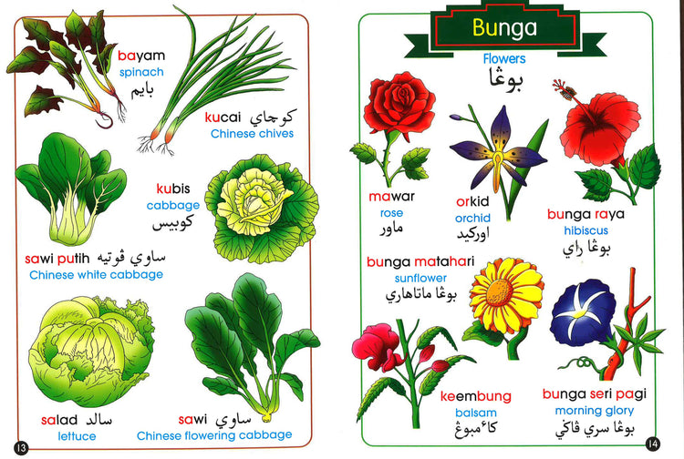 Buah-Buahan Sayur-Sayuran Dan Bunga (Fruits,Vegetables And Flowers ...