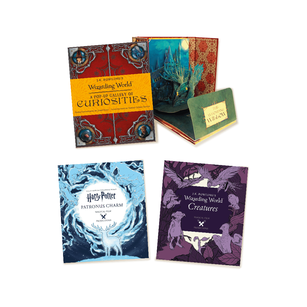 Harry Potter Movie Projection Bundle 2 – BookXcess