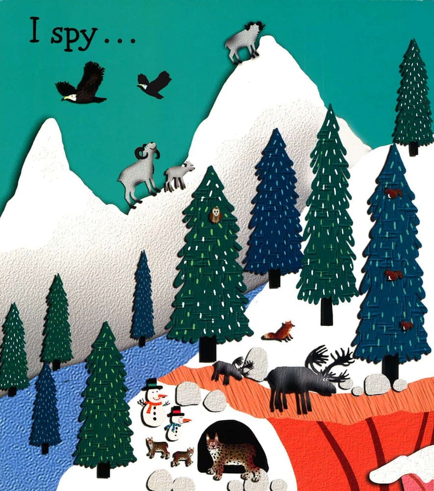 I Spy - First Opposites – BookXcess