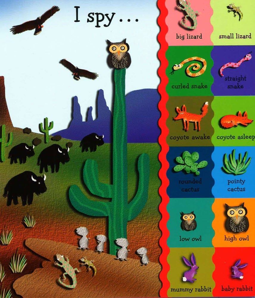 I Spy - First Opposites – BookXcess