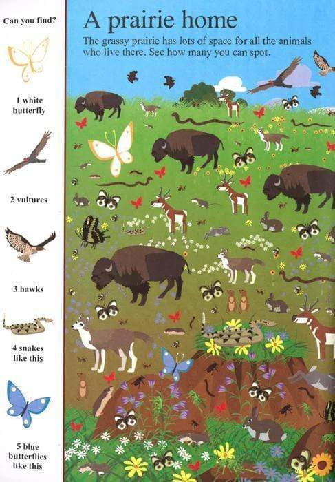 Search And Find Animals – BookXcess