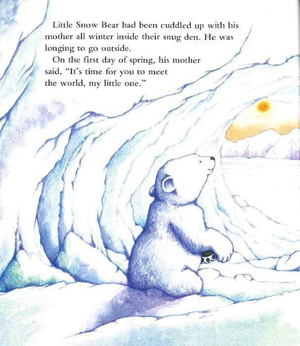 Snow Bear – BookXcess