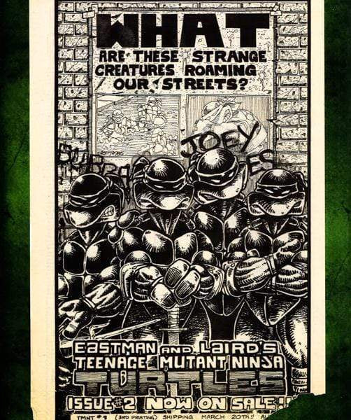 Teenage Mutant Ninja Turtles The Ultimate Visual History – BookXcess