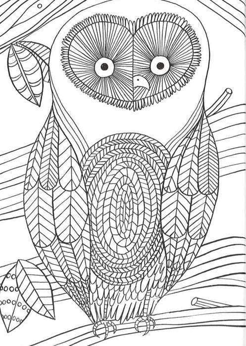 The Mindfulness Coloring Book: More Anti-Stress Art Therapy For Busy P ...