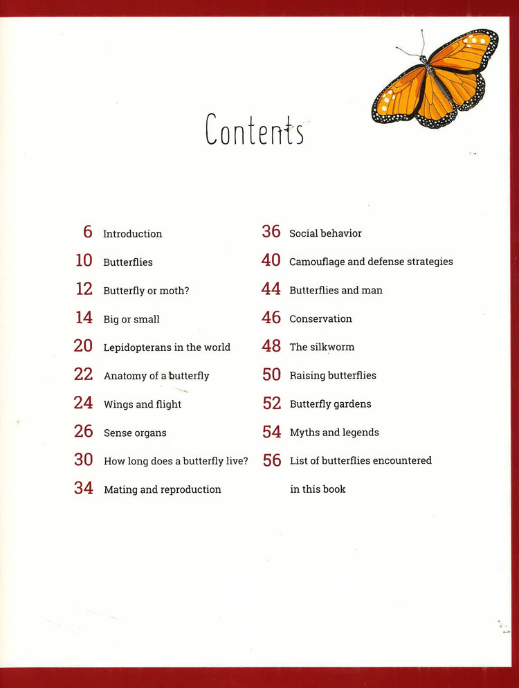 The World Of Butterflies – BookXcess